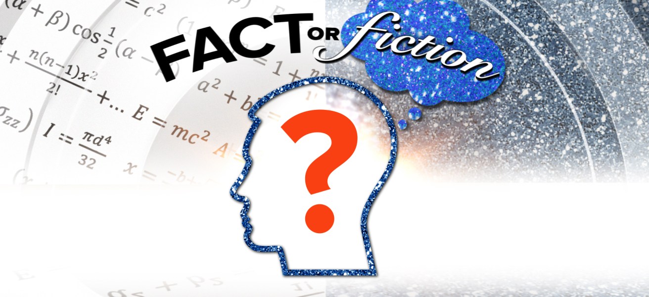 How do we differentiate between ‘Fact and Fiction’? – The Chiddicks ...