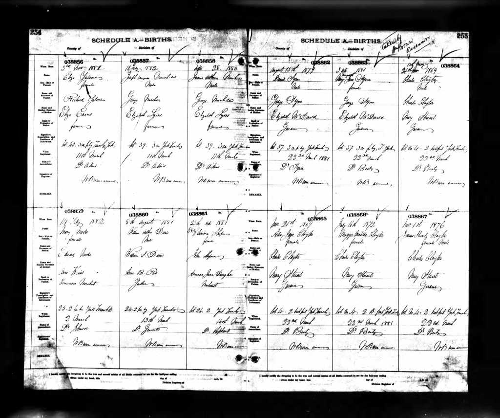 Bringing Him Home – The Chiddicks Family Tree