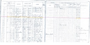 Who Was Adelaide Springett? – The Chiddicks Family Tree