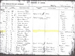 Who Was Adelaide Springett? – The Chiddicks Family Tree