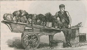 Who Was Adelaide Springett? – The Chiddicks Family Tree