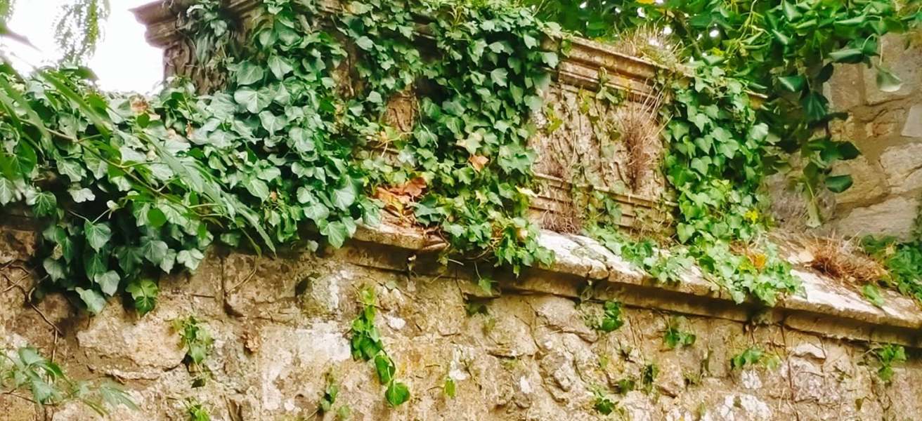 The Coffin on the Wall — The Long-Held Mystery of Edington Priory – The ...